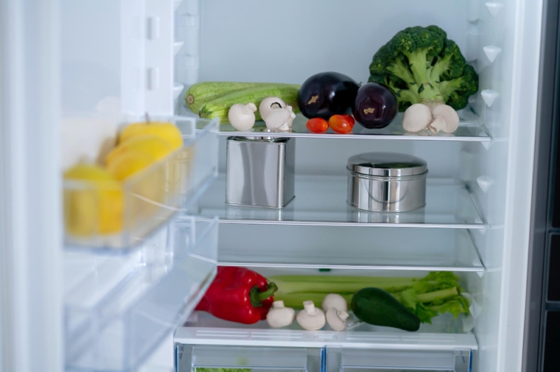 Comment bien ranger son frigo pour conserver ses aliments plus longtemps